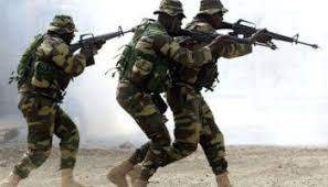 The ugly scars of python dance – The Sun Nigeria