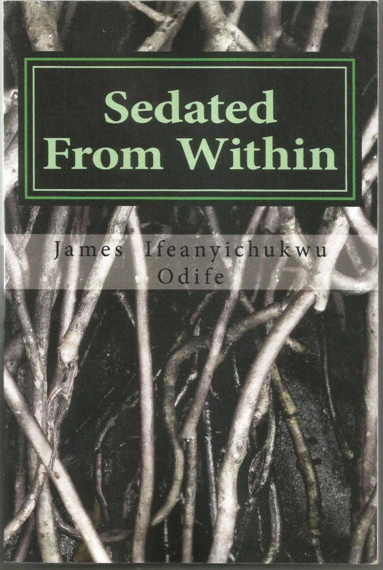 BOOK REVIEW: Ways out of Nigeria’s quagmire