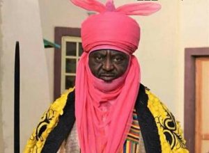 Kano Emir appoints brother as new Wamban Kano – The Sun Nigeria