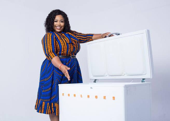 Koolboks solar-powered refrigeration system’ll stimulate