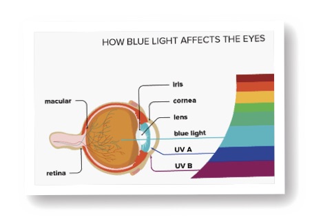 How blue light affects health