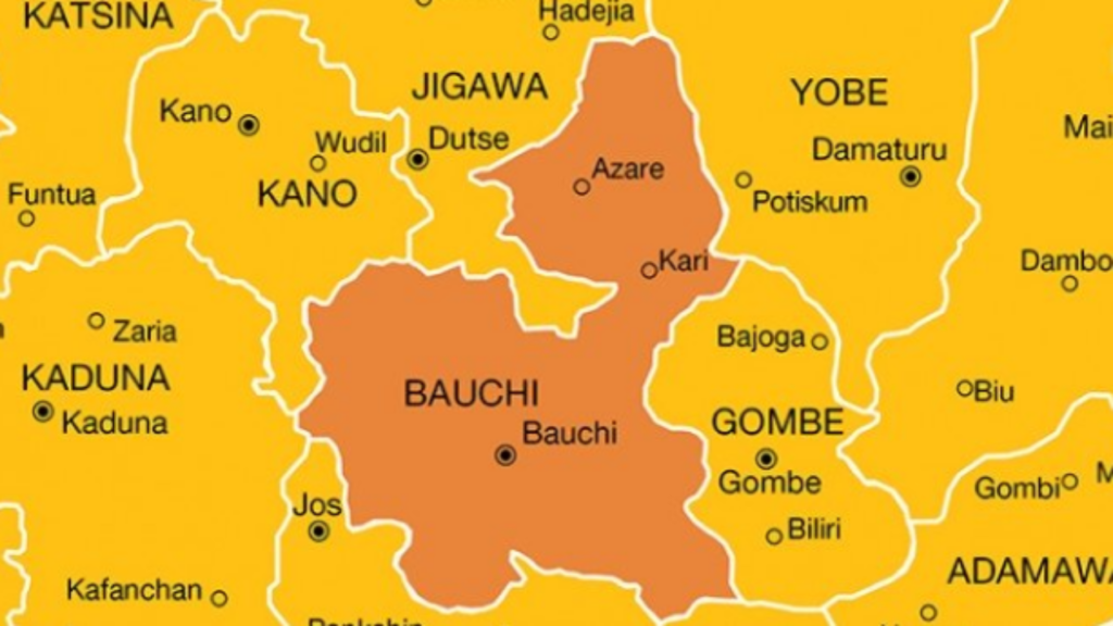 Bauchi housewife arrested for strangling co-wife