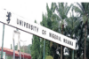 UNN appoints Nwachukwu UNEC DVC – The Sun Nigeria