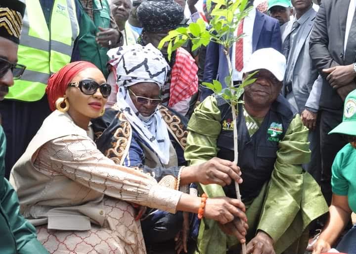Gombe launches 2023 tree planting campaign – The Sun Nigeria