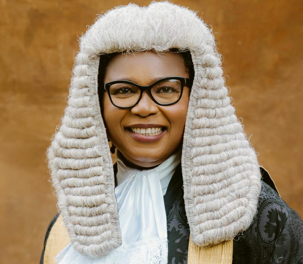 UN appoints Prof Ezeilo member of independent Mission for Sudan – The ...