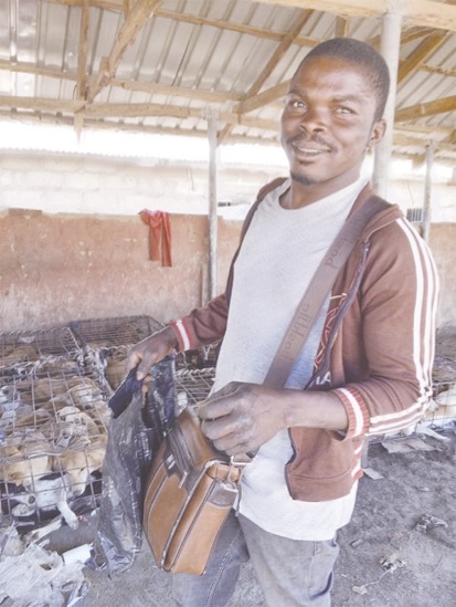 Dawaki: Nigeria's largest dog market