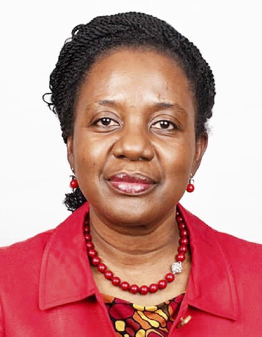 Prof Olayinka Omigbodun: My experiences with education
