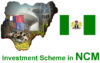 Collective investment schemes in Nigeria grew