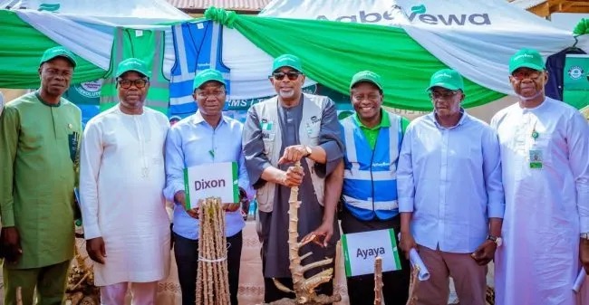 FG endorses Agbeyewa Farms’ cassava revolution,
