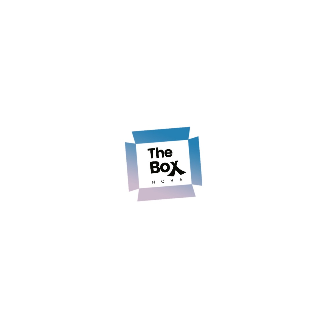 The box nova: Pioneering the future of digital growth – The Sun Nigeria