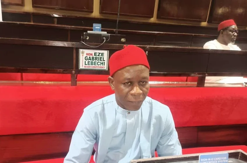 Enugu Labour lawmaker Eze defects to PDP