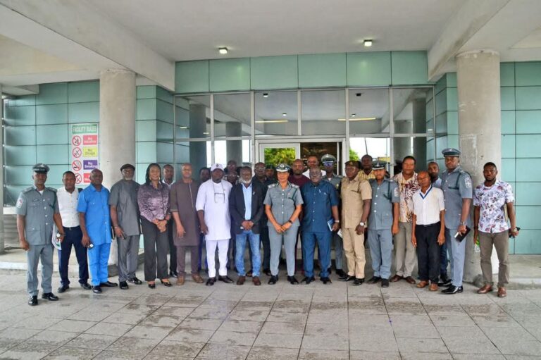 Customs launches indigenous ‘B’Odogwu’ platform to boost