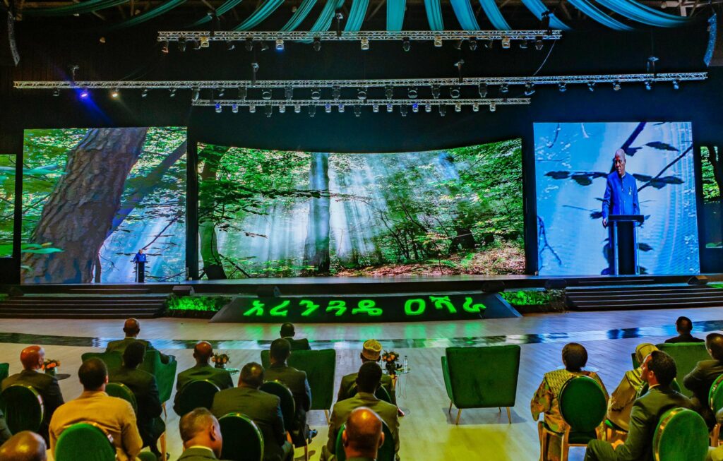 Nigeria to launch 20 billion tree planting drive - Shettima