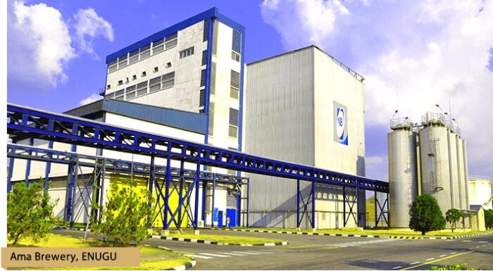 Nigerian Breweries launches ‘Life Nwa Boi Experience’
