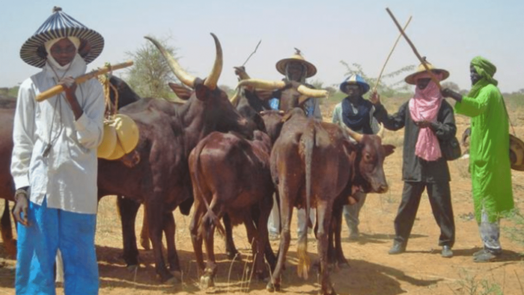 …As Miyetti Allah urges Govs to create grazing reserves