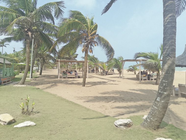 Experiencing the snake pythons, sacred forest of Ouidah
