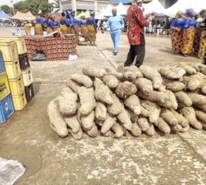 Cultural buoyancy: Isu Ava/Iri ji ovuu: Celebration of heritage,