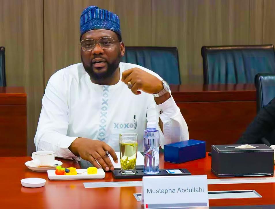 Nigeria and LONGi to launch solar panel manufacturing in Nigeria