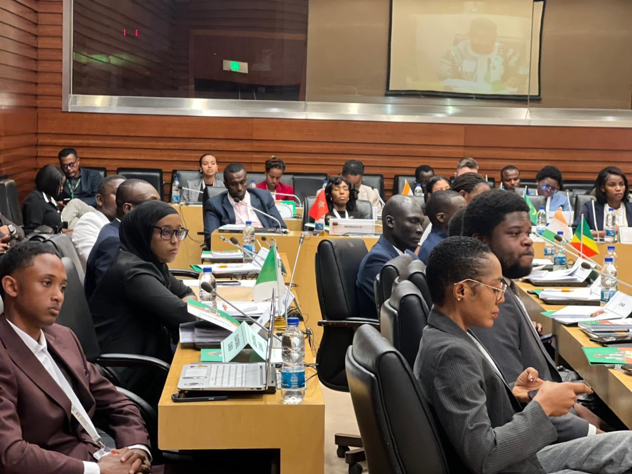 CEPASD Leads Continental Push for Youth Leadership and Peacebuilding at ...