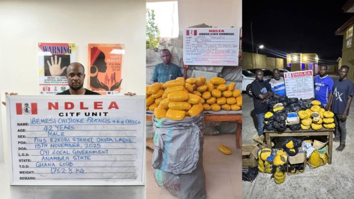 NDLEA nabs drug baron Ibemesi with 1,762kg cannabis in Lagos