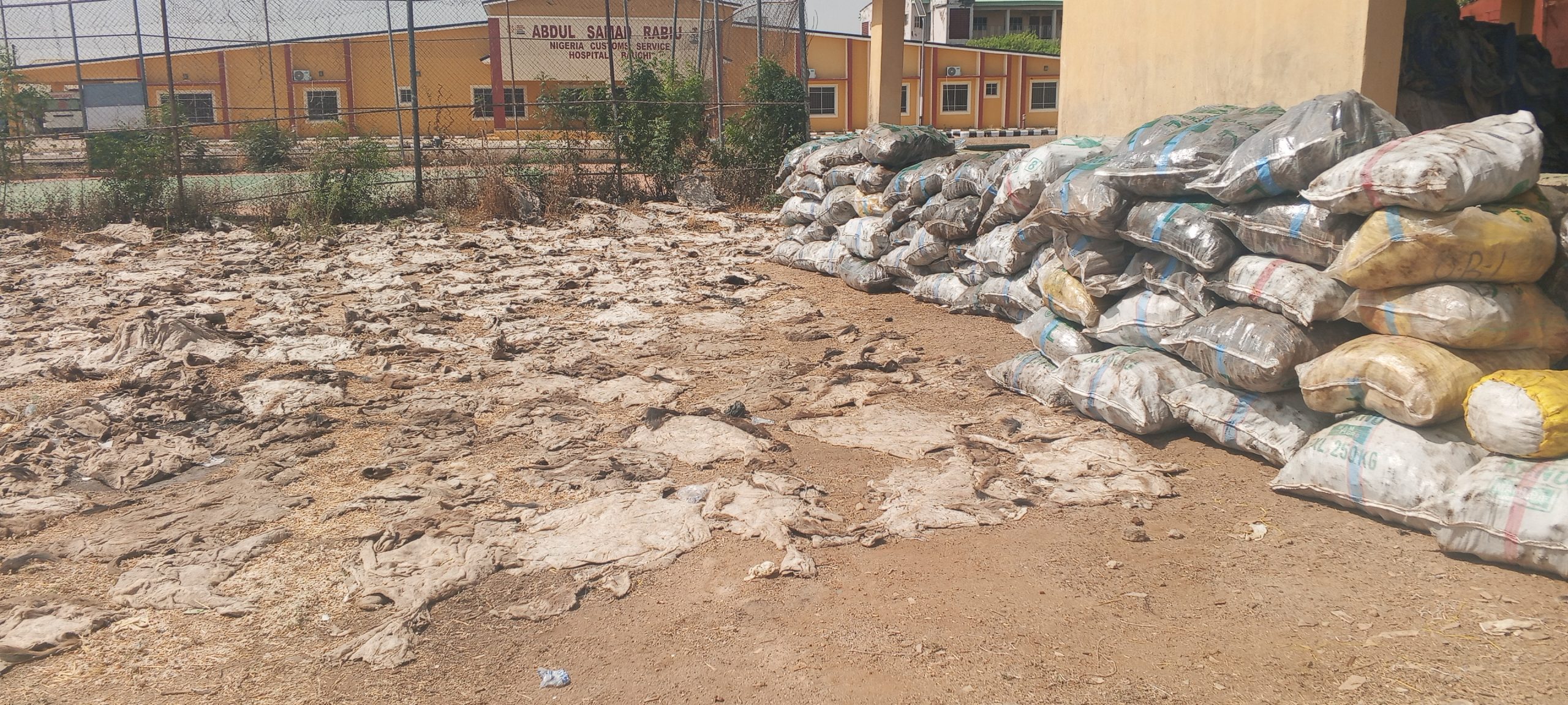 Customs seize donkey skins, fried meat worth ₦229m in North-East