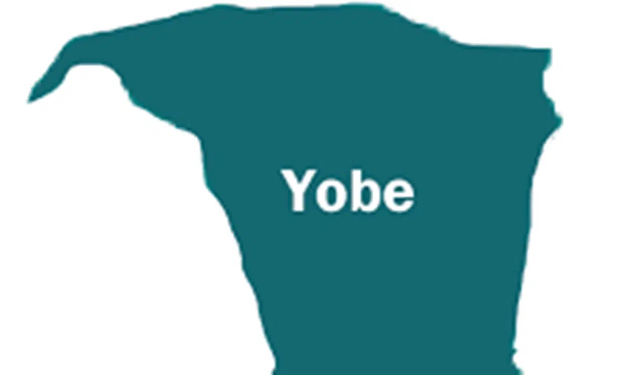 Yobe confirms arrest of suspect linked to Maiduguri bomb blast