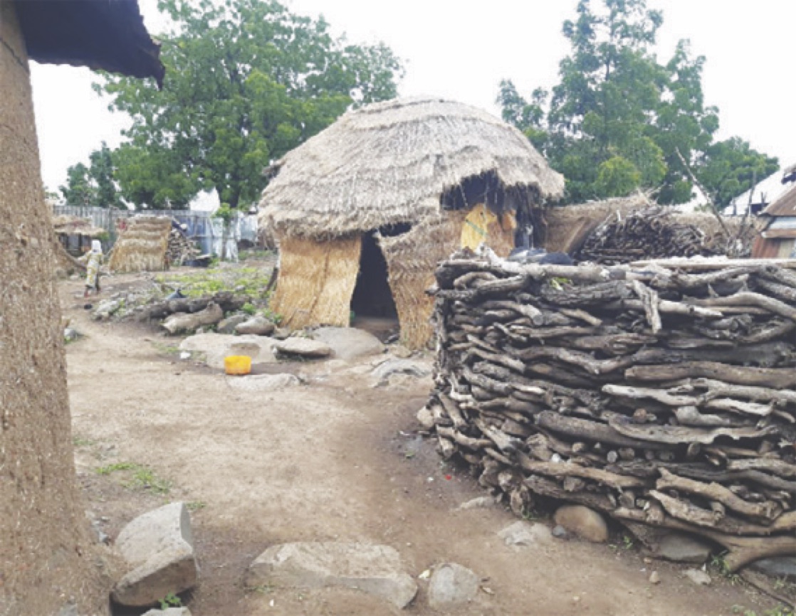Mother Language Day: Midala Umar celebrates indigenous