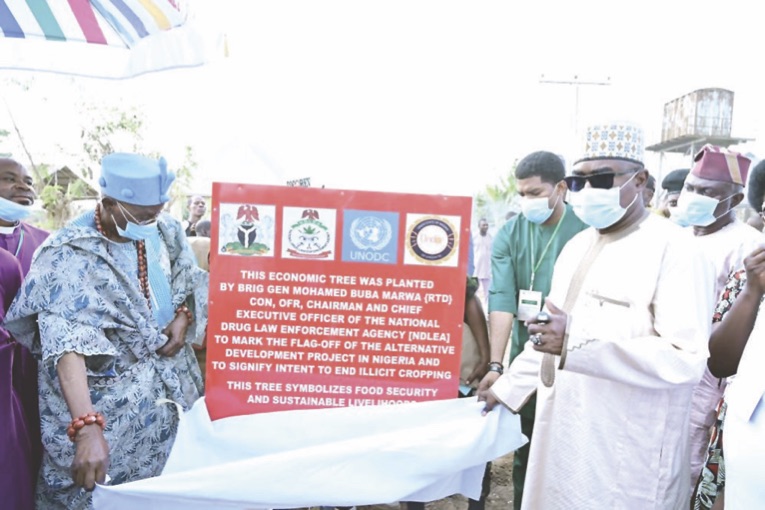 Promoting alternative development