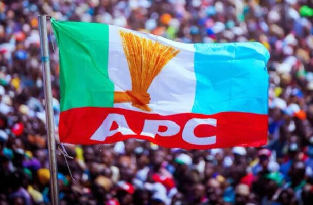 2027: Take sentiment off political calculations, APC chieftain