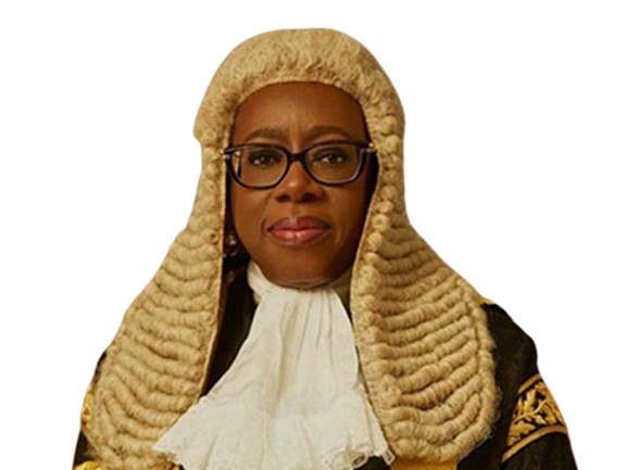 Politicians, judiciary, judicialisation of the polity as threat