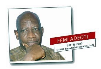 Pity, Nigeria breeding future generations in forests – The Sun Nigeria