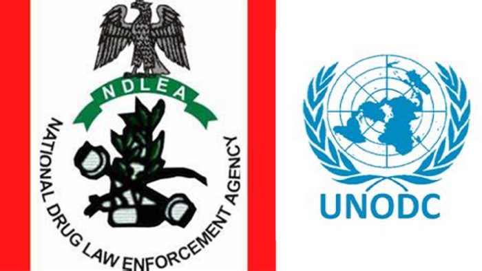 UNODC, NDLEA, MTN rally stakeholders against rising substance